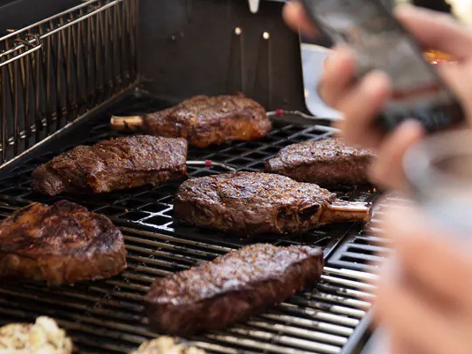 Weber Genesis Series - BBQs Plus